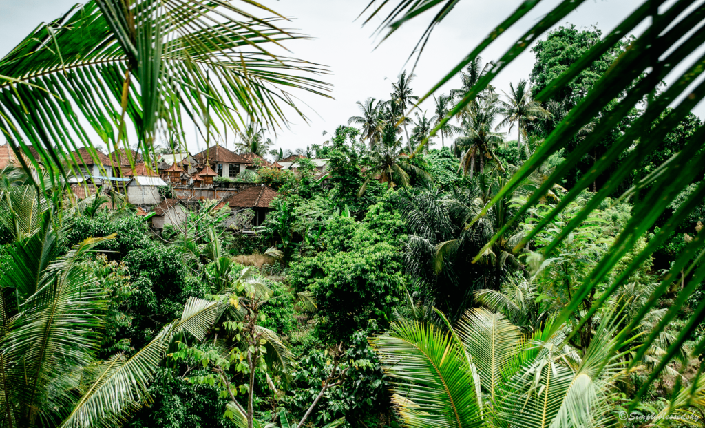 Green Trees and Rooftops in Bali Travel Poster - Shop simply blessed shy
